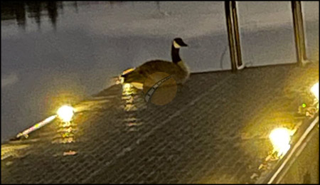 The Key Role of Solar Road Stud Lights in Environmental Protection